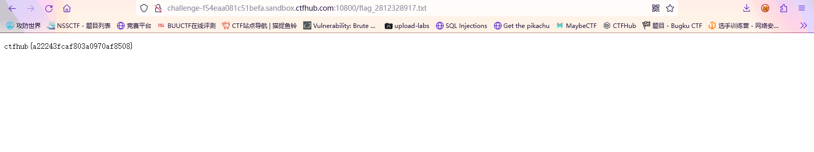 CTFHub:信息泄露 | hey's blog